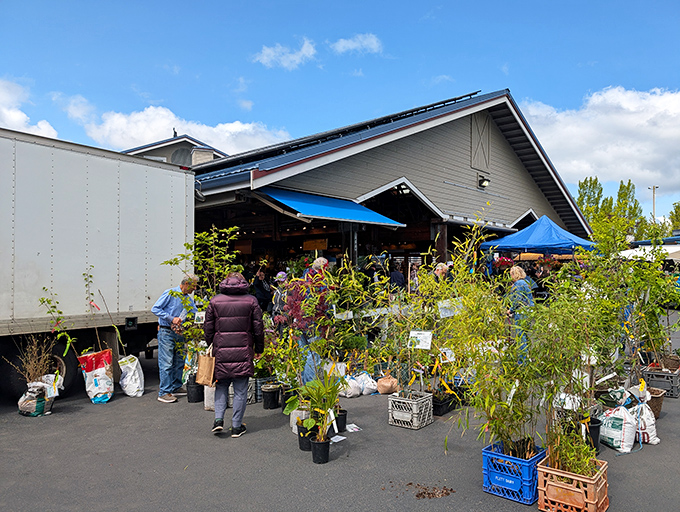 Plant parents, beware&mdash;you'll need a bigger car. These nursery offerings tempt even apartment dwellers to believe they have room for "just one more" bamboo.