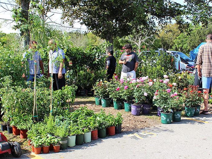 Florida's garden of earthly delights, where green thumbs browse potted possibilities while dreaming of backyard transformations.