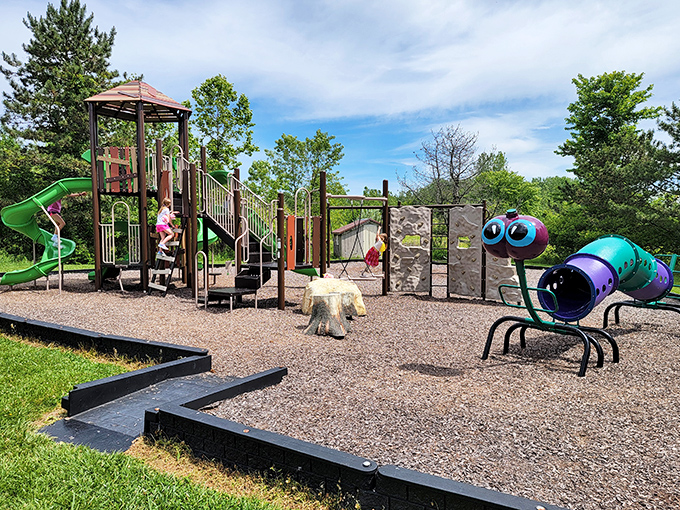 Playground paradise where giant bugs are welcome residents. Childhood memories under construction daily, no hard hat required.