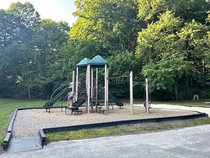 Playground equipment surrounded by forest &ndash; childhood memories in the making without a single charging station in sight.
