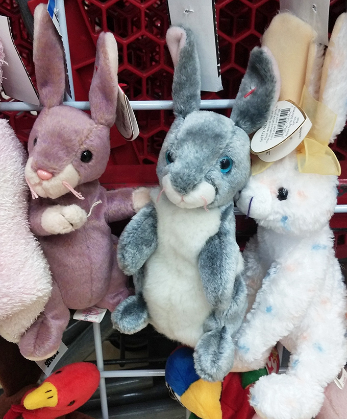 A trio of plush bunnies having what appears to be an existential conversation. "Do you think we'll find a forever home today?"