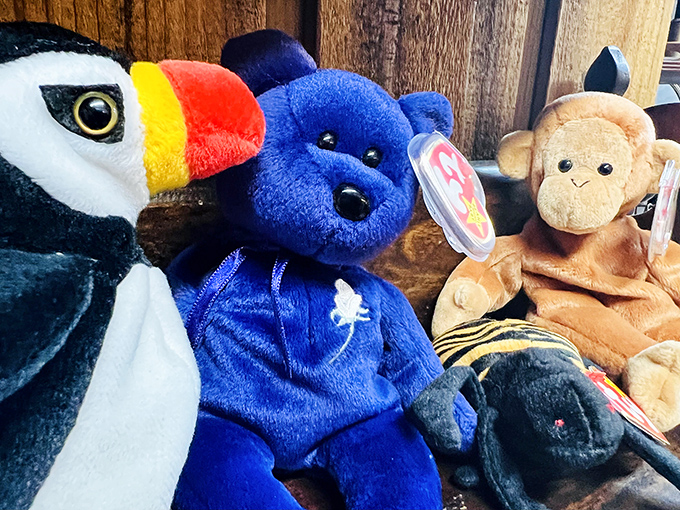 Stuffed animals with retirement plans. These vintage plush toys have seen more history than most history teachers, and they're still smiling about it.