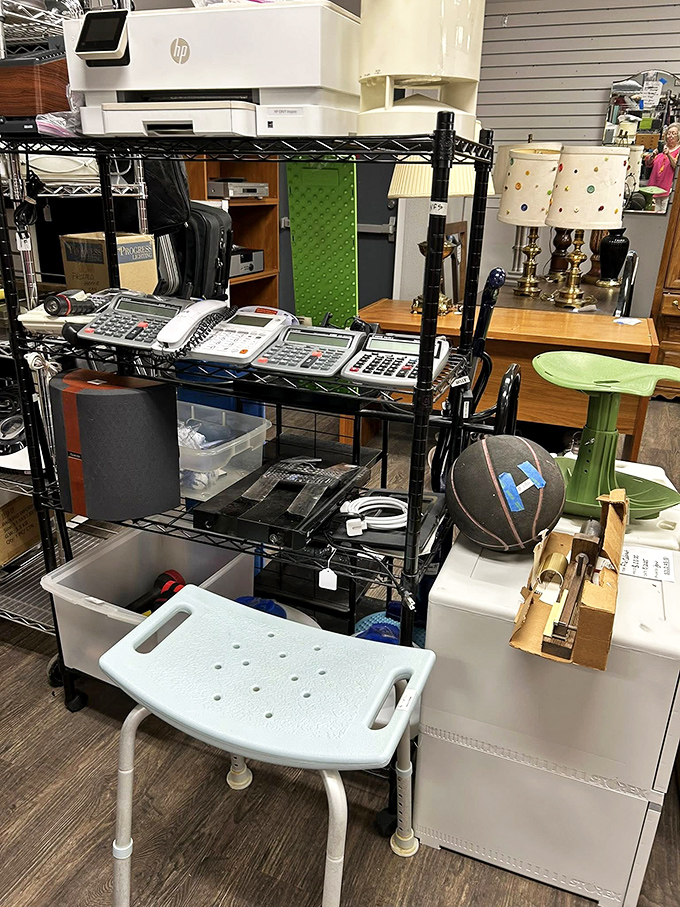 The electronics corner: where calculators go to retire and printers find their second act. That HP might still have a few masterpieces left in it.