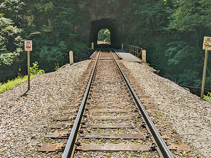 Looking through the tunnel from the other side &ndash; like peering through a geological time machine with convenient train service. 