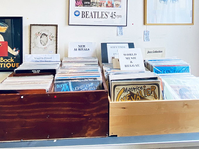 Vinyl records meticulously organized for serious collectors. That Beatles 45 might be the missing piece in someone's musical time capsule.