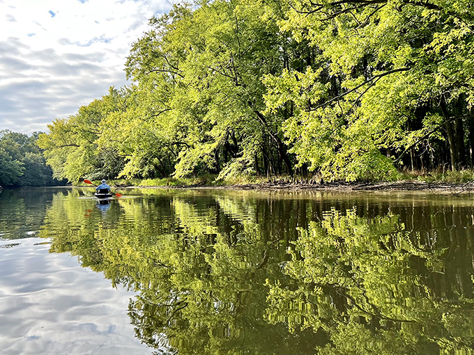 The creek's glassy surface doubles the scenery through perfect reflections, creating twice the beauty with half the effort.