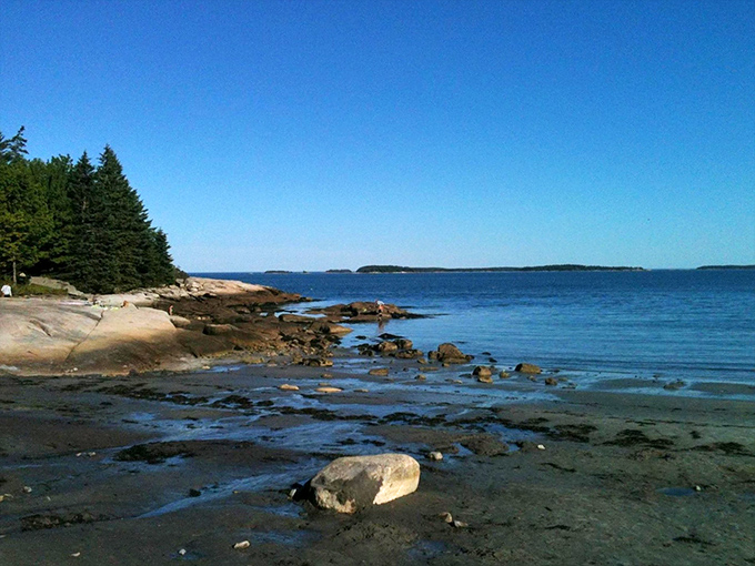 Low tide reveals nature's aquarium &ndash; rocky shores teeming with tiny universes waiting to be explored.