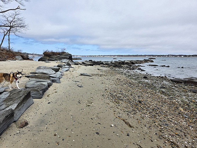 Where land meets sea: Goddard Park's rocky shoreline offers contemplative spots for beachcombing, dog-walking, and escaping the summer crowds.