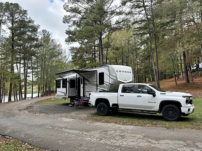 Glamping, Alabama-style. Modern RVs bring all the comforts of home to the wilderness, proving you can have your nature cake and eat it in air-conditioned comfort too.