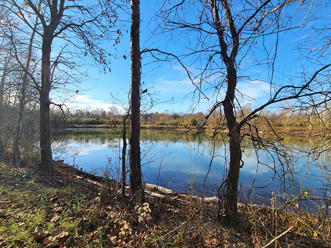 Winter's bare branches frame this glassy pond like nature's own masterpiece, proving Ohio doesn't need mountains to take your breath away.