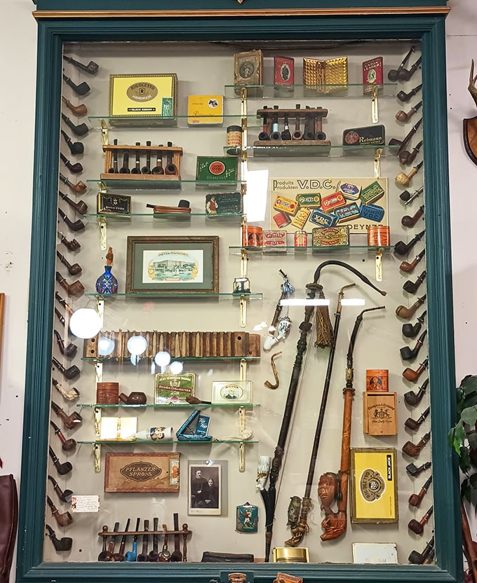 A shrine to the smoking rituals of yesteryear, when pipes weren't just tobacco holders but extensions of personality and social standing.