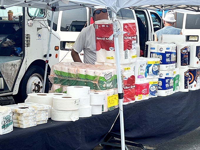 Paper products stacked with architectural precision. The pandemic taught us all that toilet paper hoarding isn't crazy&mdash;it's just good planning.