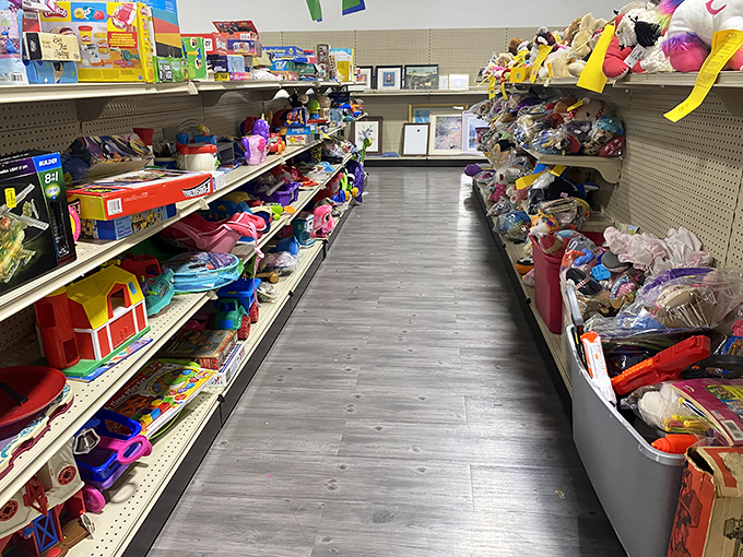 The toy aisle: where nostalgia meets bargain hunting. That plastic dinosaur might just be the missing piece of some child's imaginary world.