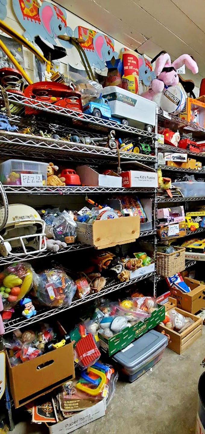 Childhood memories stacked floor to ceiling—where vintage toys, stuffed animals, and metal trucks wait to be rediscovered by collectors or introduced to a new generation.
