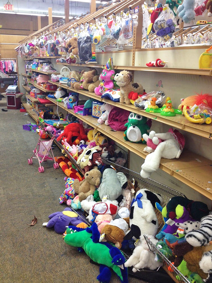 Stuffed animal island - where once-loved teddy bears and forgotten Furbies patiently wait for their next cuddle companion.