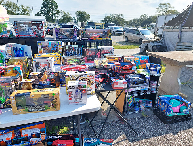 A toy collector's dream&mdash;where Star Wars meets Nerf meets dinosaurs in a nostalgic playground that makes adults wish they were kids again.