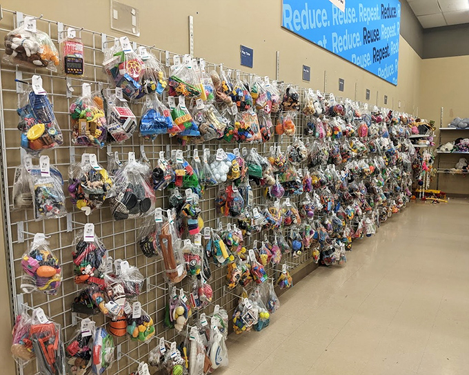 Bagged toys hang like treasure chests, each one a mystery grab bag that kids find infinitely more exciting than predictable.