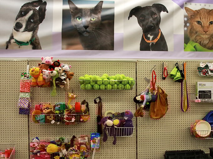 Furry friends smile down on their toy kingdom below. This pet section reminds shoppers that their bargain hunting directly supports animals waiting for forever homes.