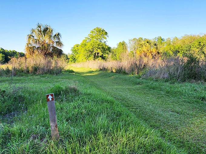The trail beckons with promises of adventure and tranquility &ndash; Florida's version of the yellow brick road, just greener.