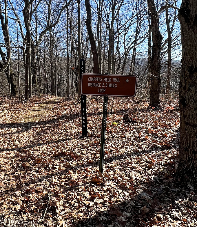 Trail signs: the GPS of the wilderness world. The Chappells Field Trail promises 2.5 miles of adventure for those willing to follow its path.