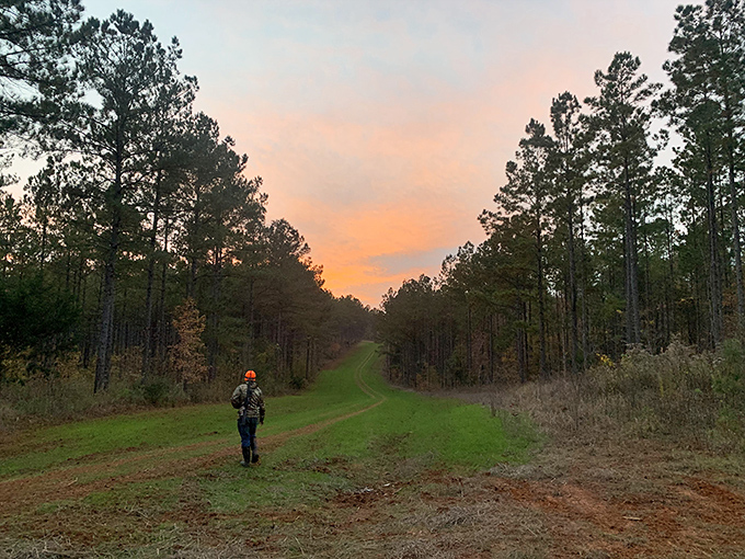 Nature trails cut through Butler County's pine forests, where hunters in orange caps become temporary philosophers in cathedral-like woods at sunset.