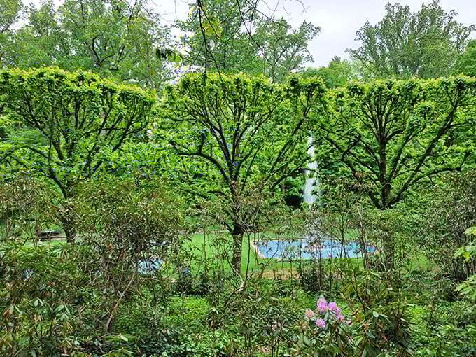 Perfectly pruned trees frame glimpses of the water garden below, creating living windows into other parts of this horticultural wonderland.