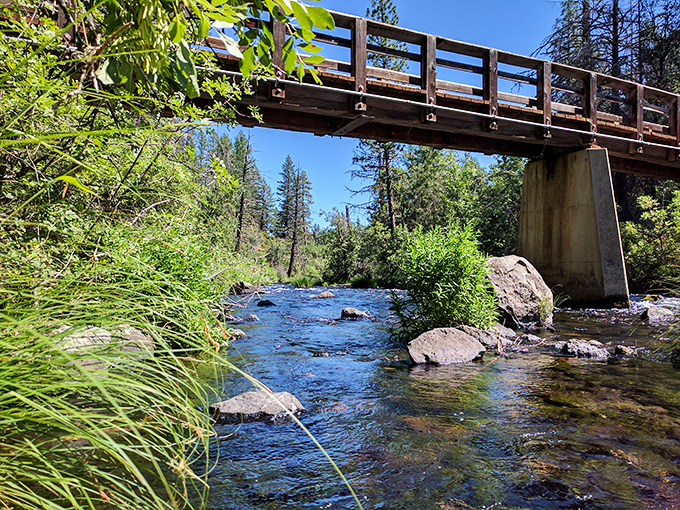 A simple wooden bridge spans the crystal-clear waters of Burney Creek. Sometimes the most direct path is also the most beautiful.
