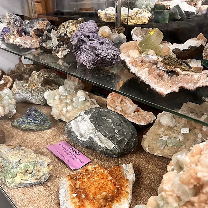 Nature's jewelry box spills open, revealing crystalline treasures formed over millennia that now await a spot on your bookshelf.