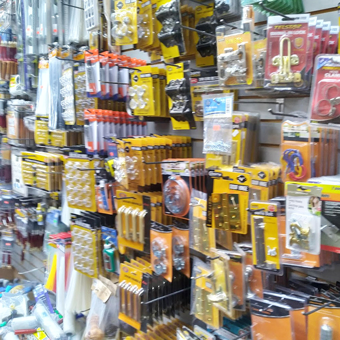 Tools and hardware essentials prove that DIY dreams don't require a contractor's budget to come true.