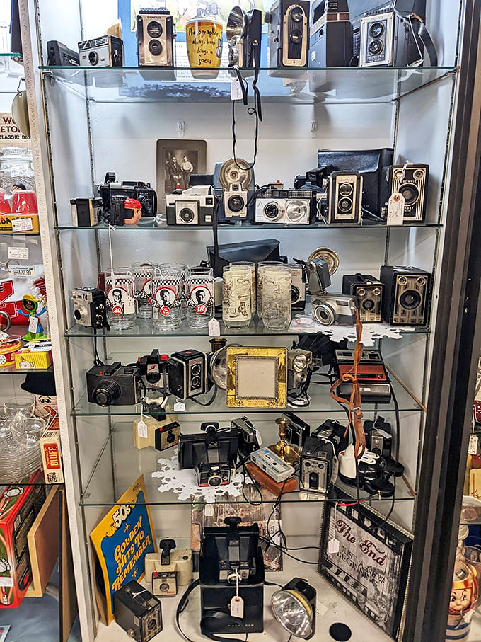 Vintage cameras that captured countless "Kodak moments" before phones made everyone a photographer.