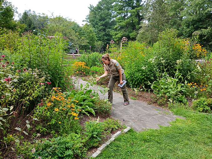 A park ranger tends the native plant garden &ndash; the original farm-to-table concept that's been trending for several million years.