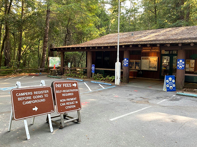 The visitor center: where park rangers patiently explain that no, the gift shop doesn't sell bear repellent, and yes, you still need to pay the entrance fee.