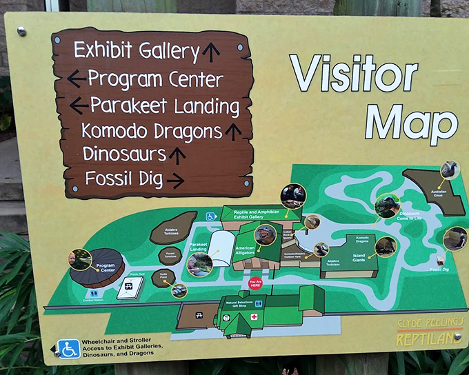 Adventure planning made easy. The visitor map reveals Reptiland's surprising variety of attractions, from Komodo dragons to parakeets, proving Pennsylvania has more exotic offerings than just cheesesteaks and pretzels.