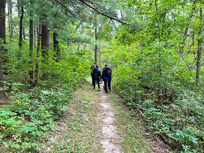 Fellow explorers forge ahead on the trail, proving that some of life's best moments happen when you put one foot in front of the other.
