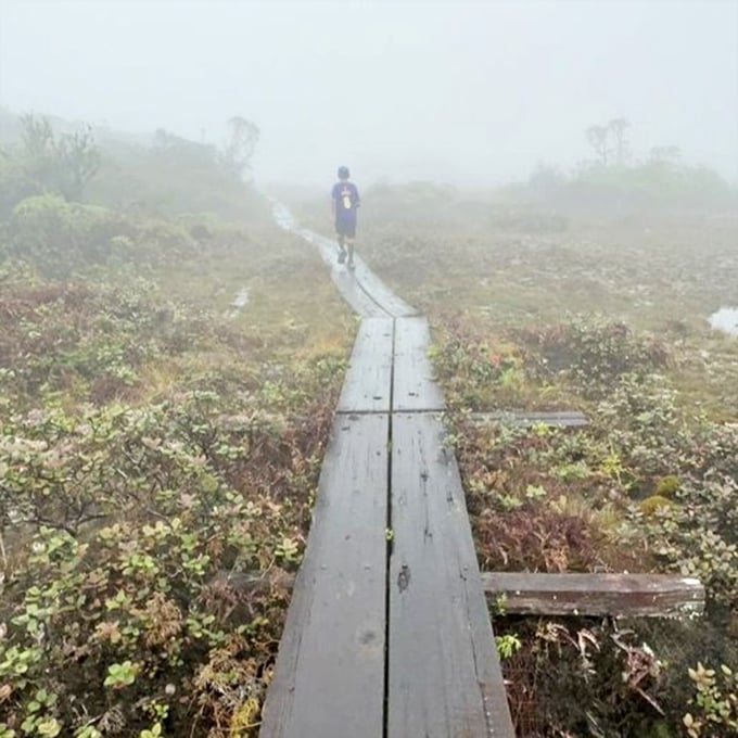 The boardwalk that launched a thousand Instagram captions about "walking into the mist." Worth every clich&eacute; when you're actually there.