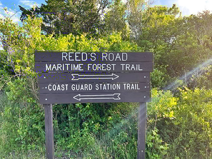Trail signs point the way to adventure through maritime forests and coastal landscapes, no GPS required for these natural treasures.