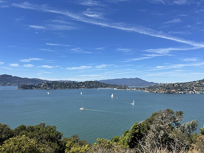 White sailboats drift across sapphire waters as the Bay Area sprawls magnificently along distant shorelines.