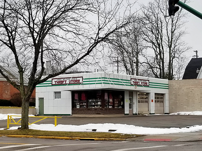 This unassuming storefront with its classic green stripes houses bargains that help furry friends find forever homes.