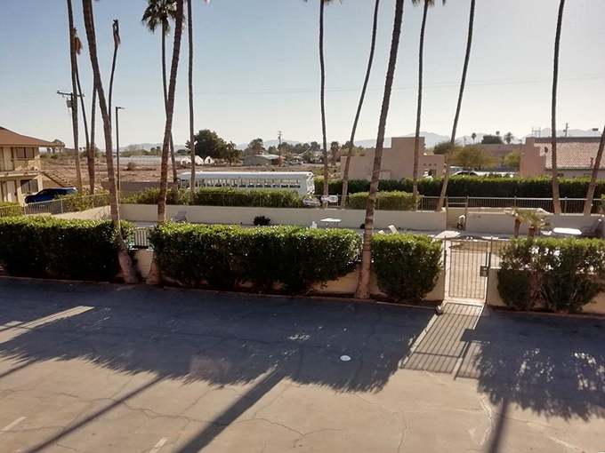 Desert palms line suburban streets where retirement living costs less but delivers more sunshine and space.