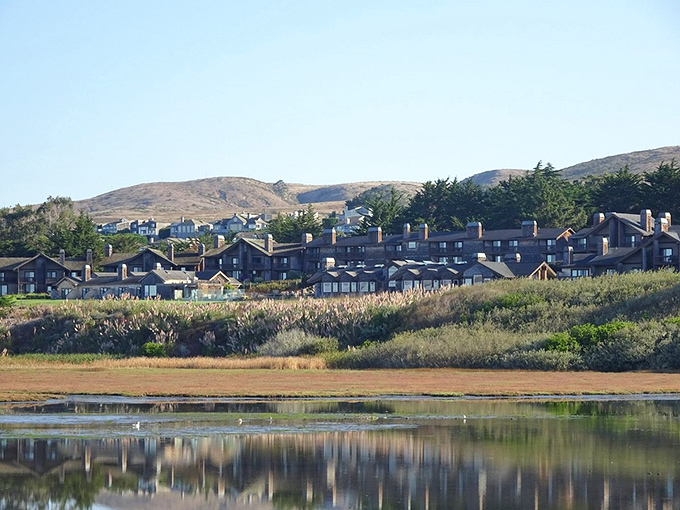 Bodega Bay's waterfront homes nestle against golden hills, proving that living by the sea never goes out of style.