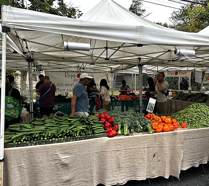 At Brentwood's market, the bountiful displays of freshly-picked vegetables, from crisp cucumbers to vibrant peppers, offer a perfect slice of California goodness.