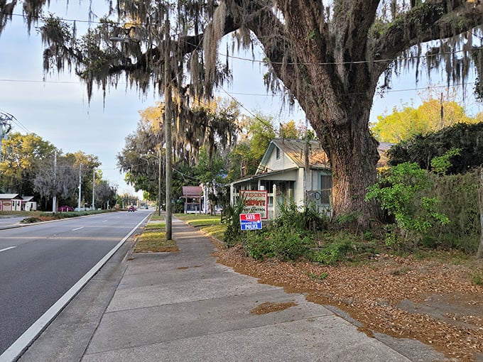Crescent City's tree-lined streets welcome you home. Spanish moss drapes the scene like nature's own decoration.