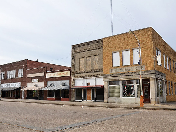 DeWitt's vintage storefronts have witnessed decades of history, now offering affordable retirement living for budget-conscious folks seeking peace.
