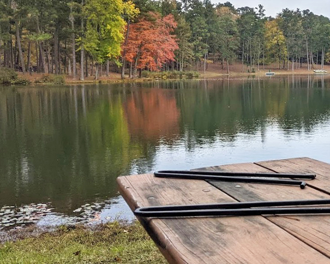 Fall colors paint F.D. Roosevelt State Park in vibrant hues. The reflection in the lake doubles nature's autumn masterpiece.