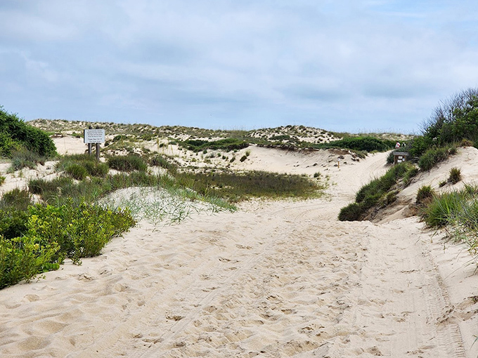 False Cape State Park's coastal dunes &ndash; where your footprints might be the only evidence humans exist for miles around.