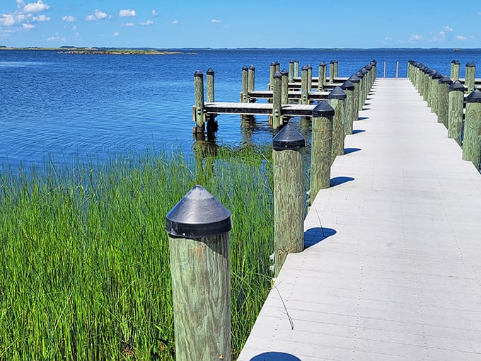 Coastal solitude! Where wooden walkways lead to beaches untouched by commercial chaos.