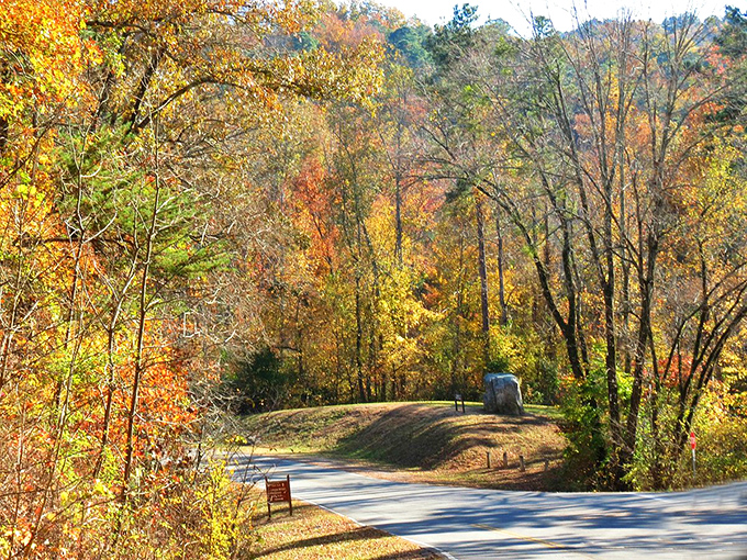 Autumn colors paint the landscape in nature's finest brushstrokes, free admission to this masterpiece show.