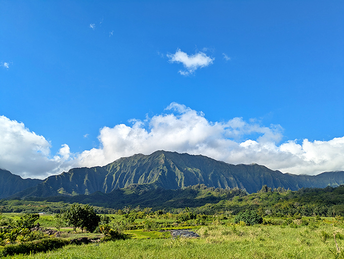 Heʻeia's verdant valley framed by the majestic Koʻolau Mountains. The dinosaurs from Jurassic Park might wander through any minute.