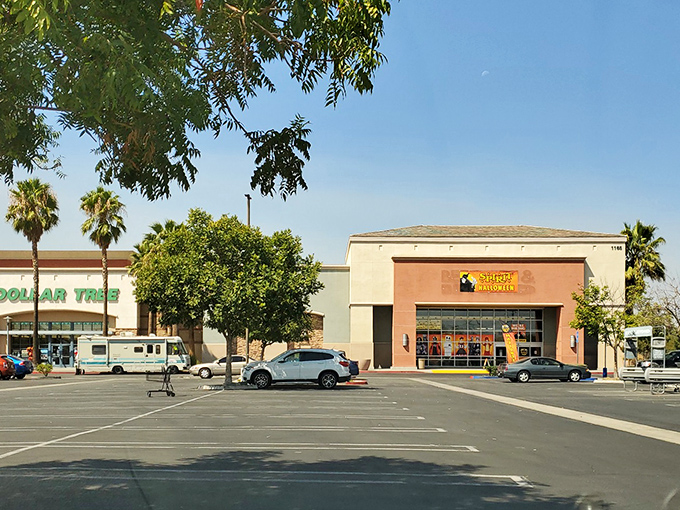 Shopping centers with everyday essentials make Hemet practical for retirees on a budget. Where desert sunshine meets affordable living in Southern California's hidden retirement haven.