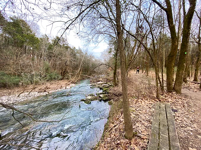 Winter's bare branches frame this quiet stream like nature's own minimalist art installation.